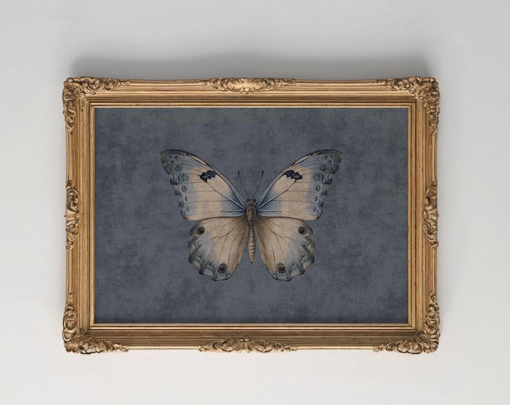 Miluva Blue Cottagecore Butterfly Academic Butterfly Artwork Butterfly ...