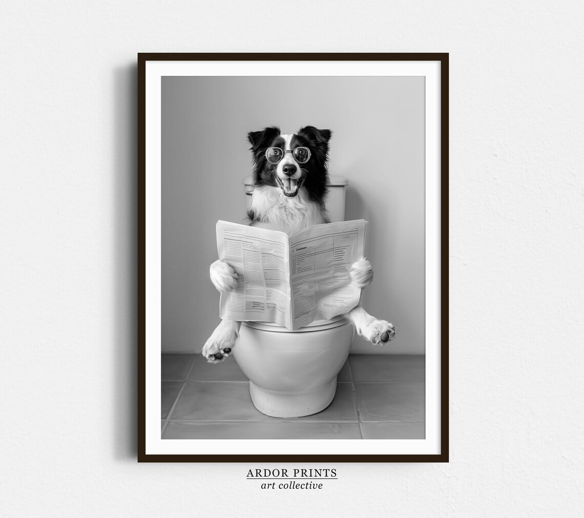 Miluva Border Collie Reading Newspaper In Toilet Print, Black And White ...