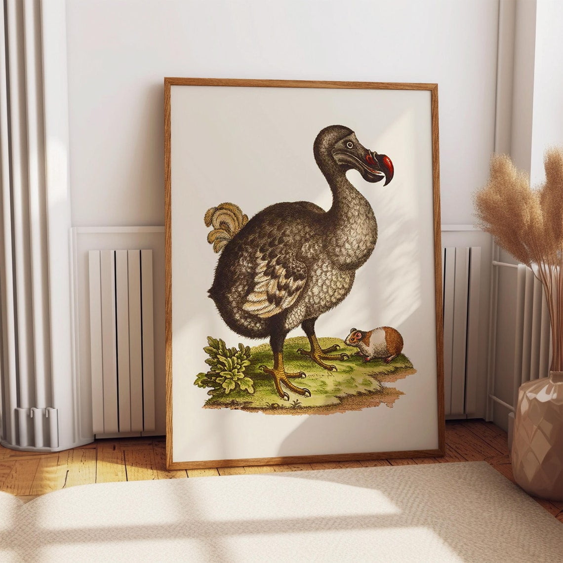 Miluva Dodo Illustration From Vintage Natural History Book Natural ...