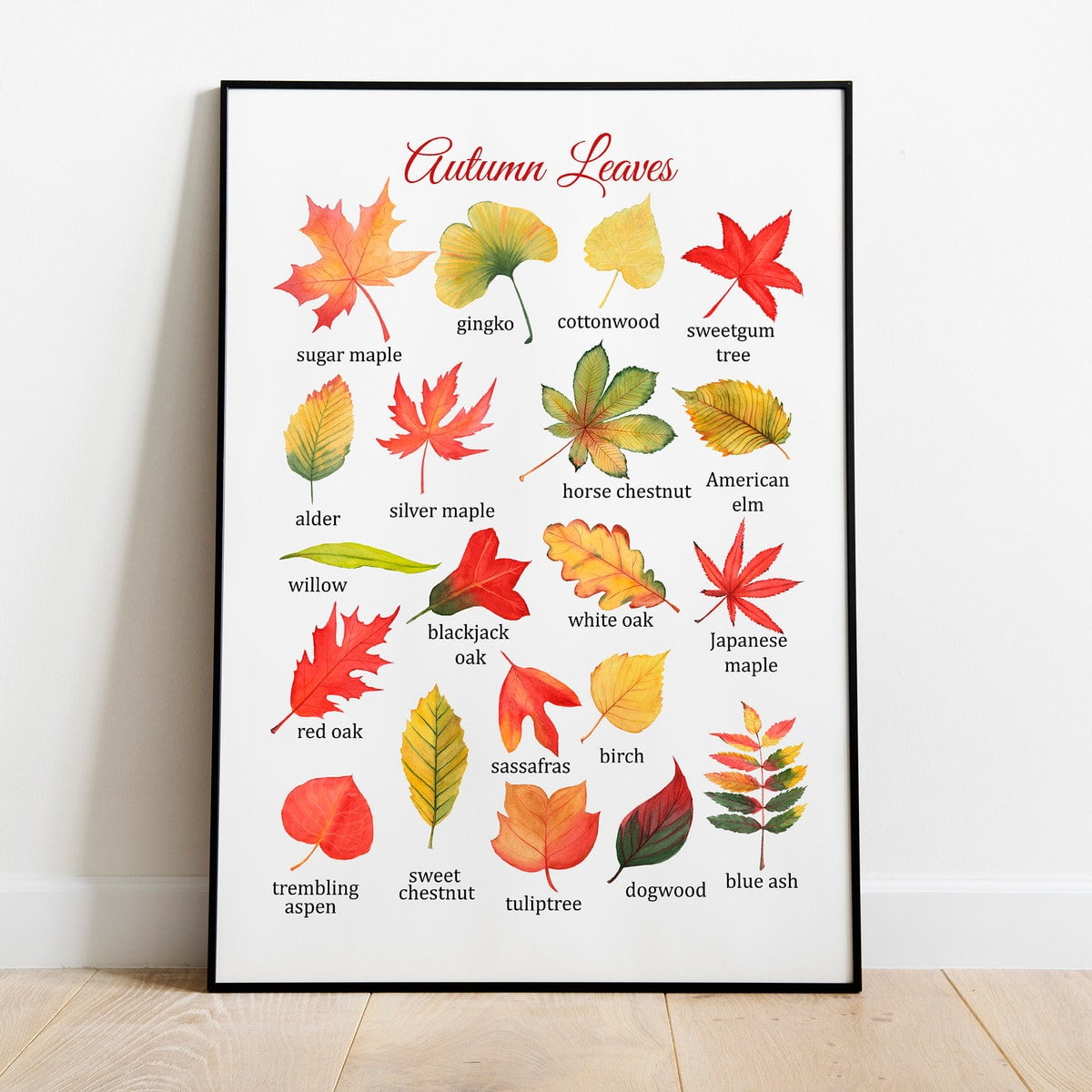 Miluva Fall Leaf Identification Montessori Poster, Educational Poster ...