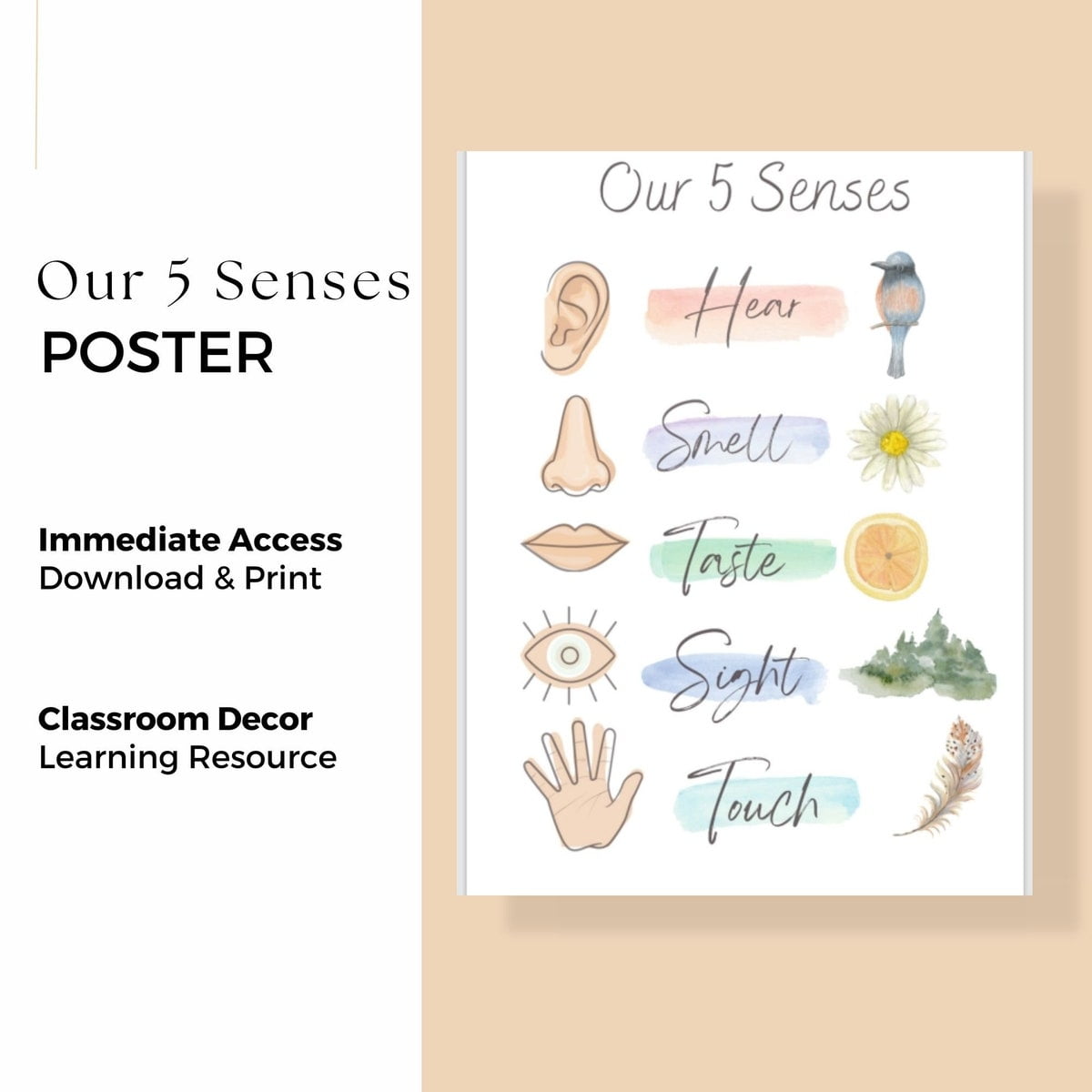 Miluva Five Senses Poster, Educational Classroom Decor, Classroom Decor ...