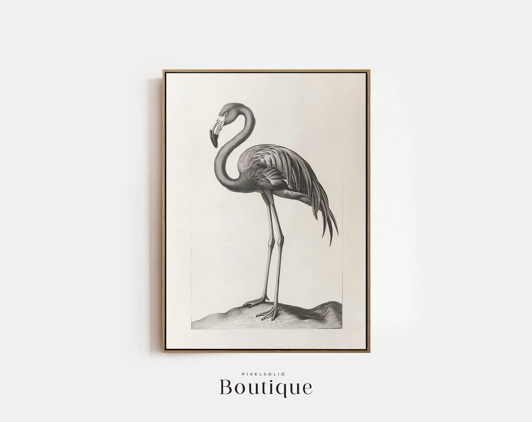 Miluva Flamingo Etching, Neutral Bird Illustration Print, Costal ...