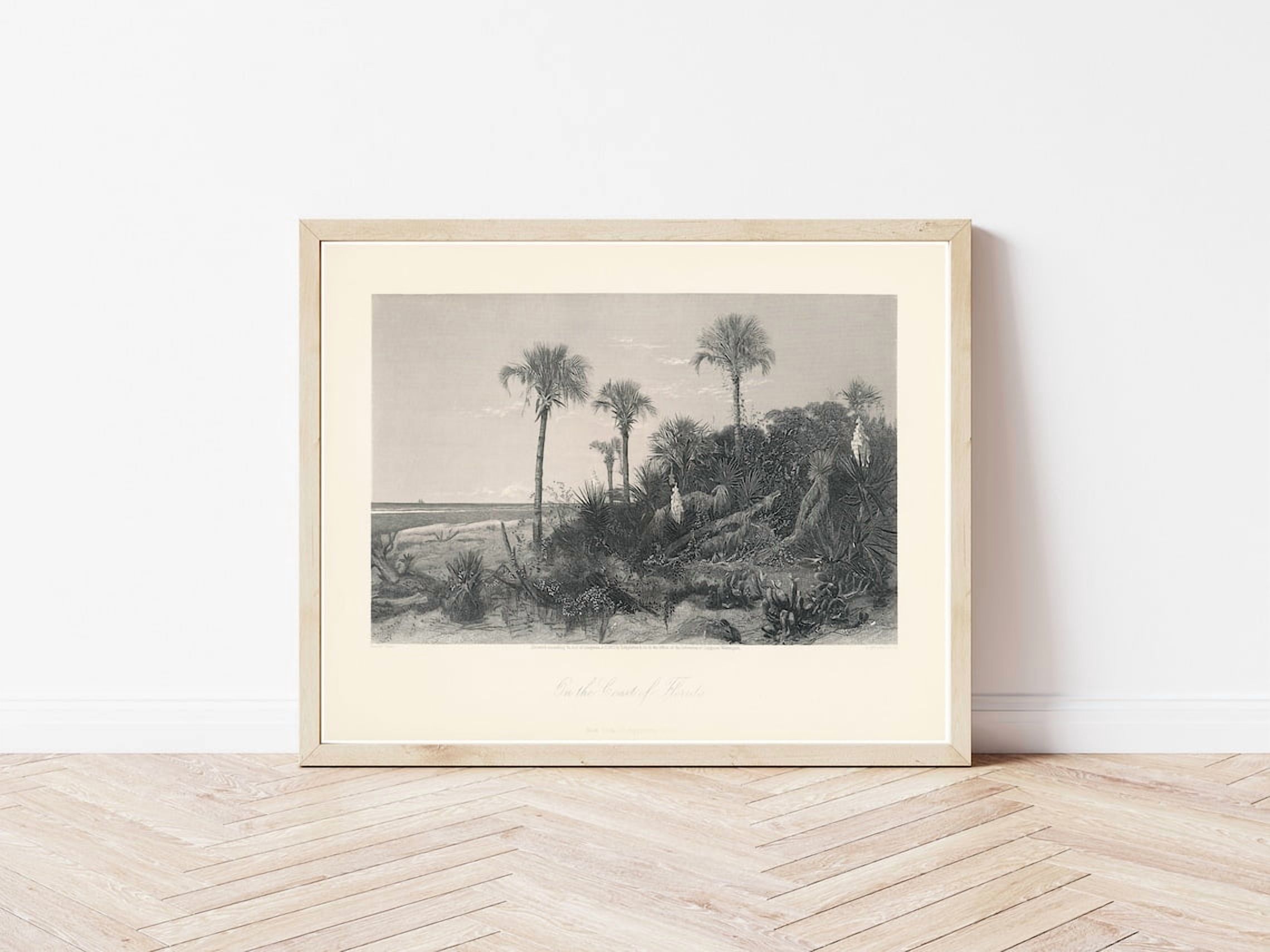 Miluva Florida Coast Nature Scene 1872 Steel Engraving Illustration ...