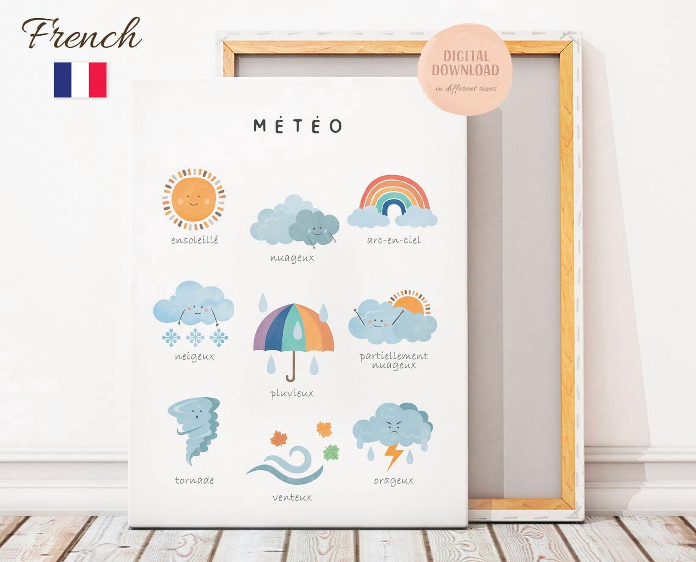 Miluva French Educational Poster, French Classroom Printables, Shapes ...