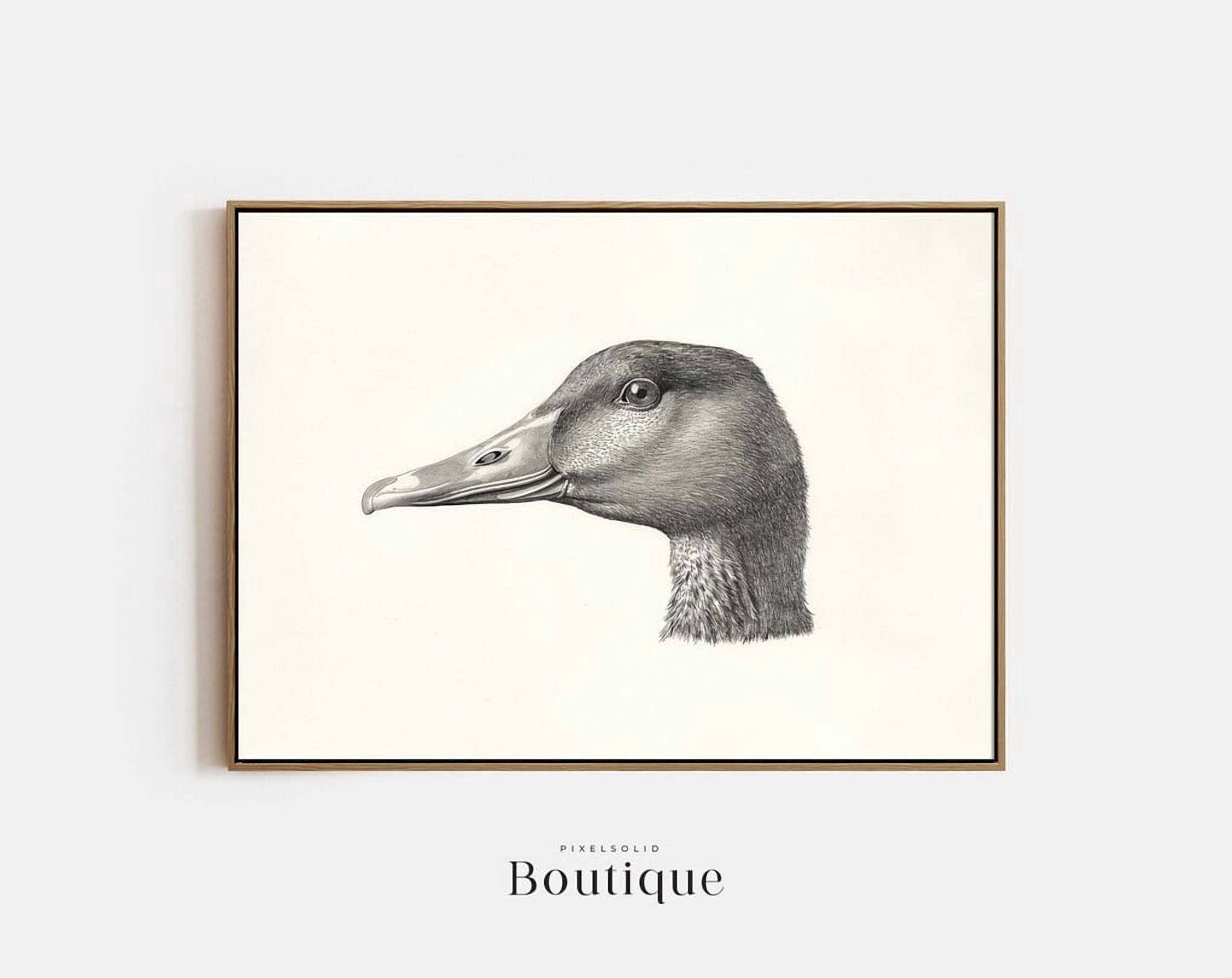Miluva Goose Sketch, Neutral Bird Illustration Print, Farmhouse Hunting ...