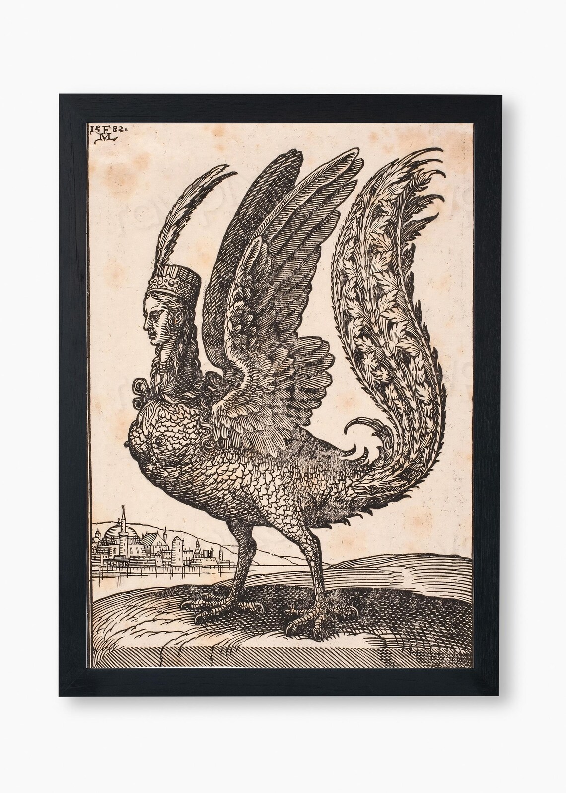 Miluva Harpy, Bird Of Hell - Mythical Creature Art, Fantasy Renaissance ...