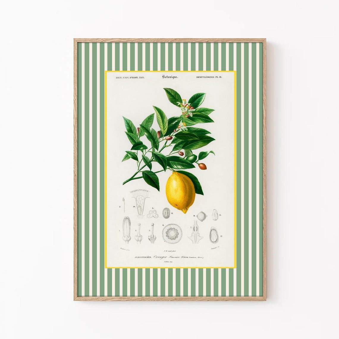 Miluva Lemon Wall Art, Sage Green Poster, Lime Poster, Retro Lemon Wall ...