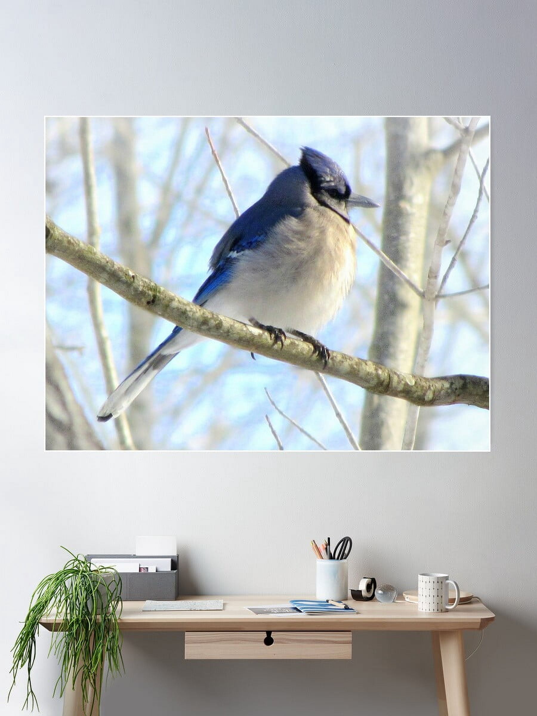 Miluva Moody Blue Jay Poster Wall Art, Modern Wall Decor For Living ...