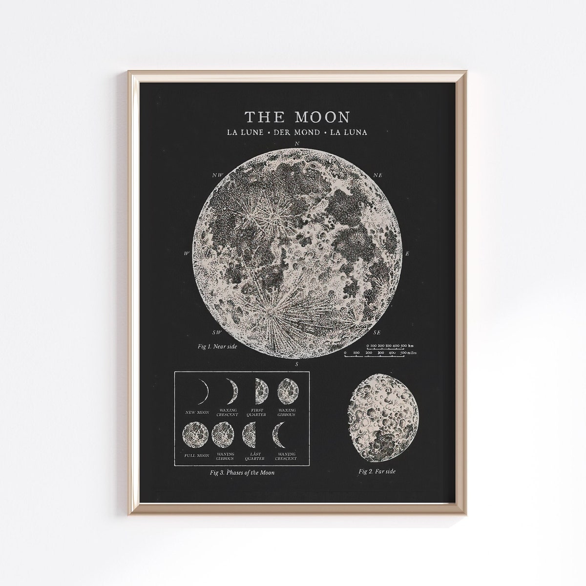 Miluva Moon Phases Printable Vintage Moon Poster Moon Phases Print ...