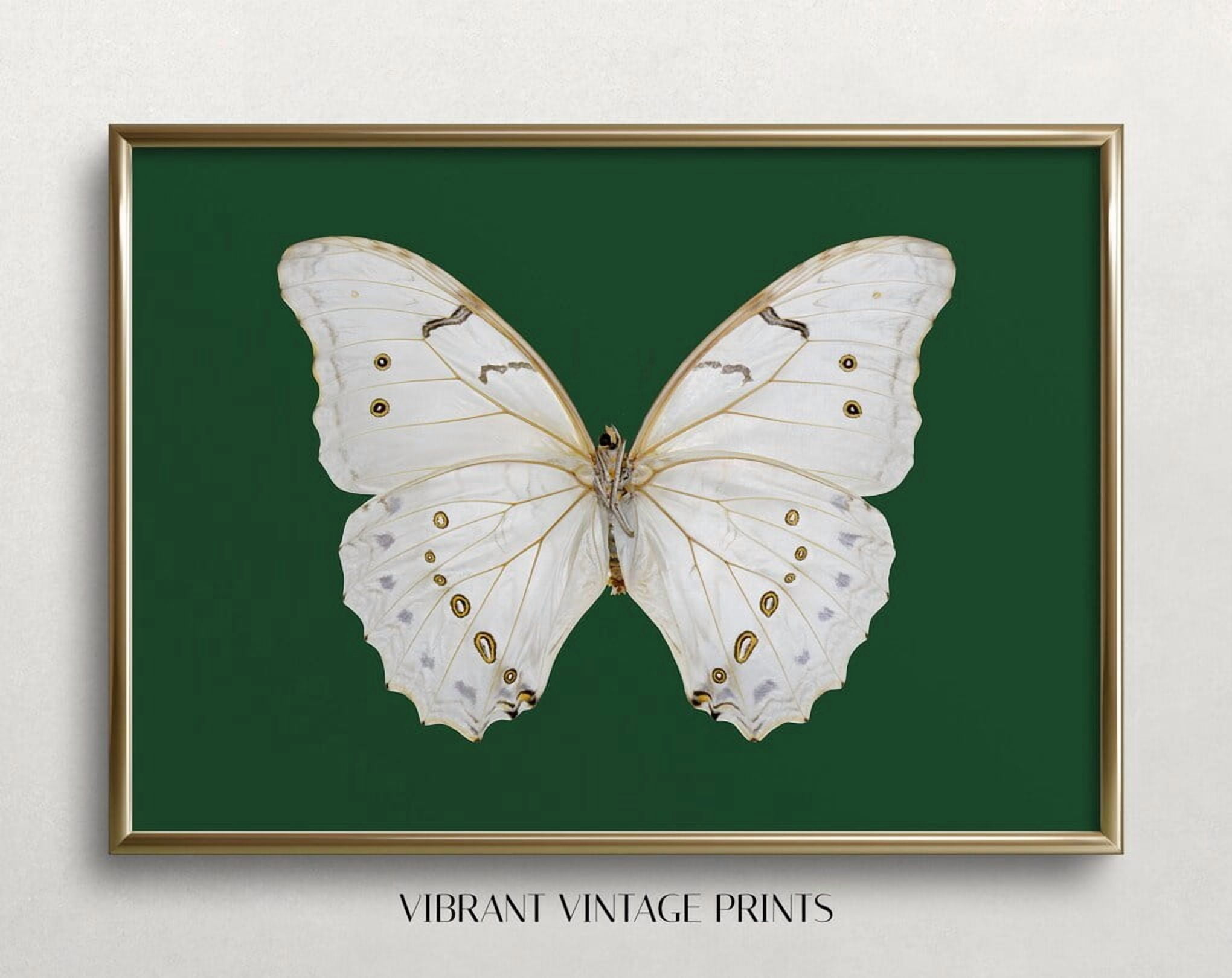 Miluva Moth Wall Art Vintage Wall Art Emerald Green Art White Moth Art ...