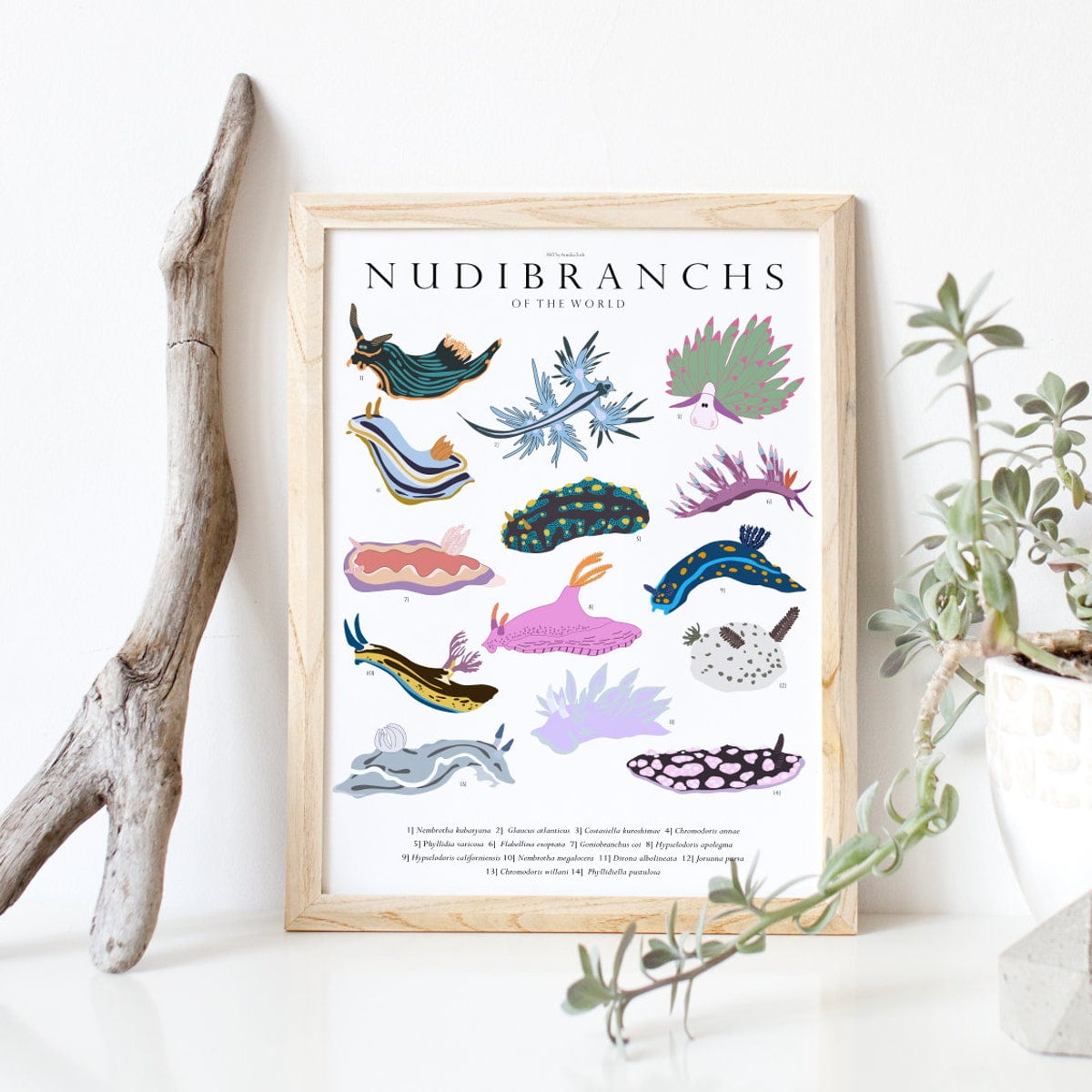 Miluva Printable Nudibranchs (Seaslugs) Of The World Poster ...