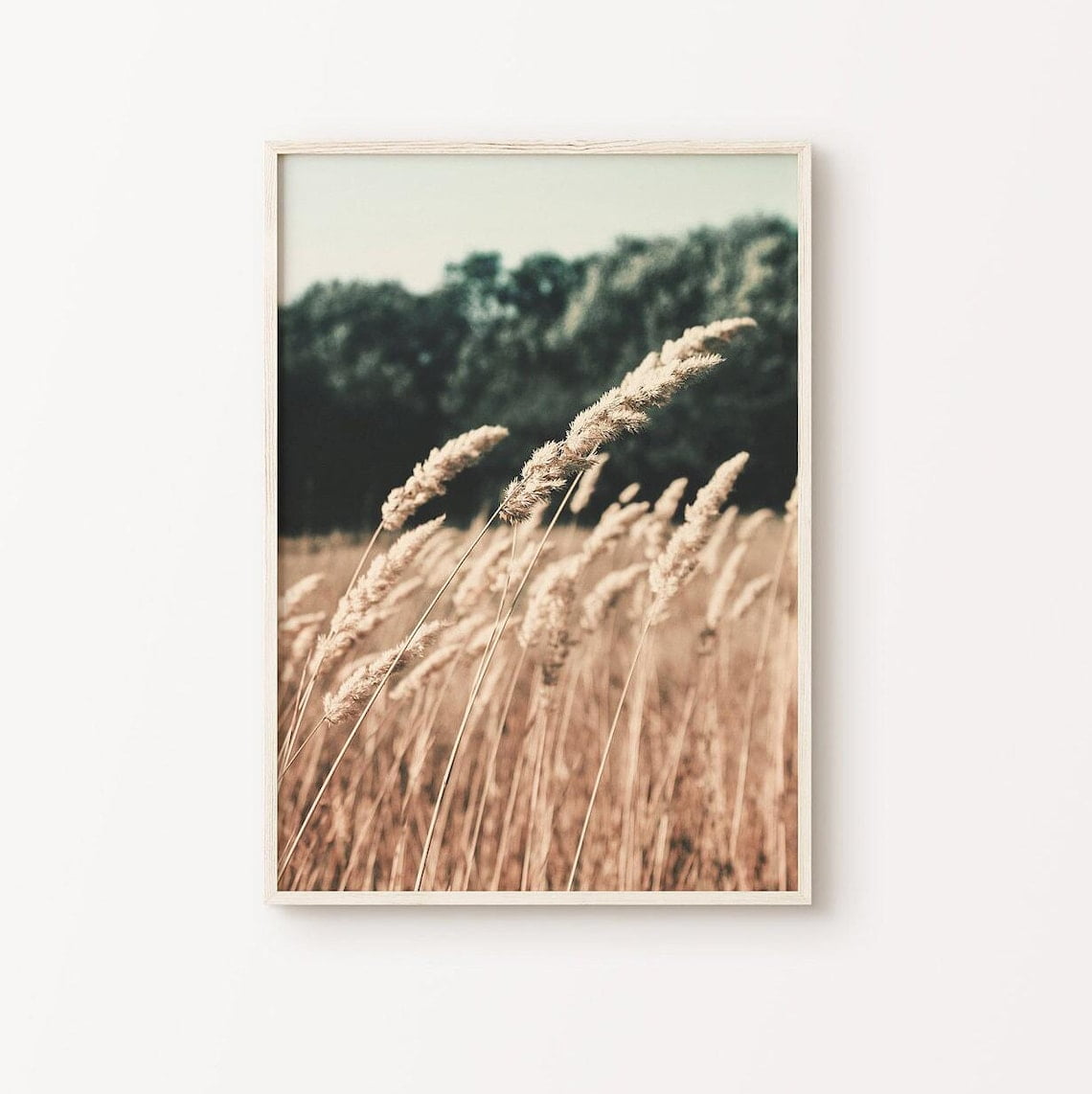 Miluva Printable Wheat Photography, Wheat Wall Art, Wheat Field Print ...