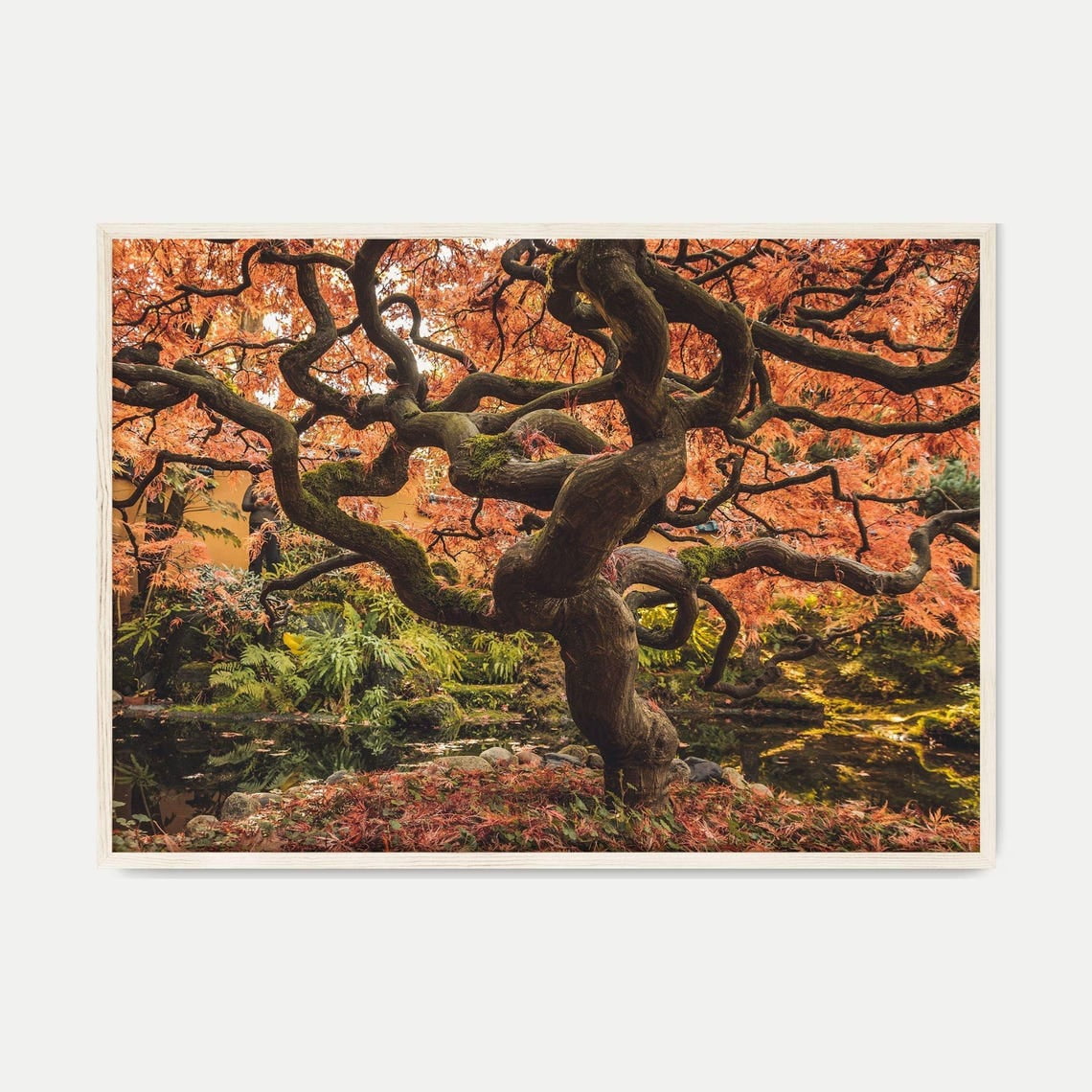 Miluva Sakura Tree Printable Wall Art, Nature Landscape Photography ...