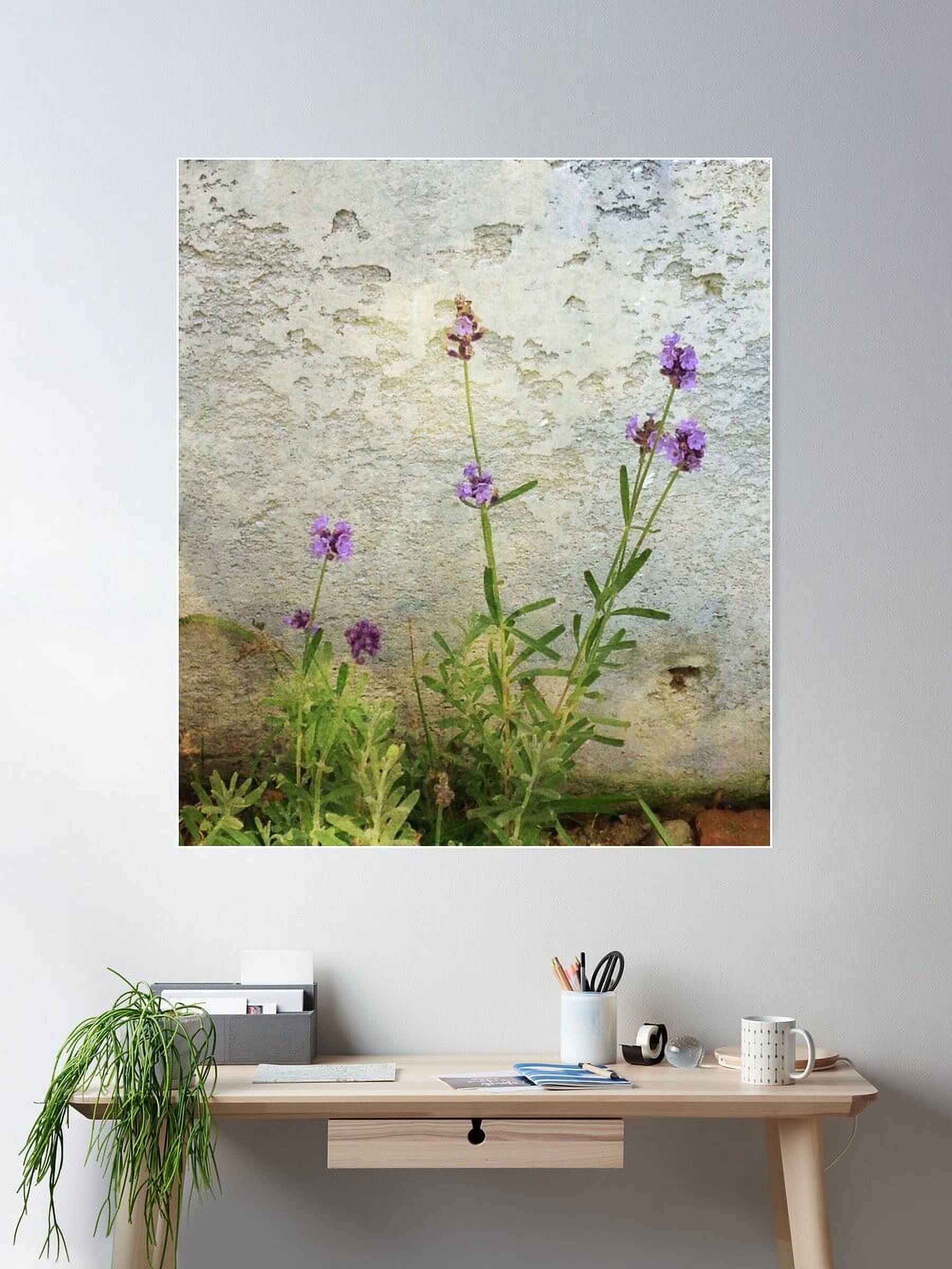 Miluva Sentimental Notion Poster Wall Art, Modern Wall Decor For Living ...