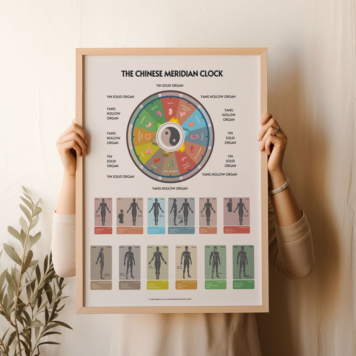 Miluva Tcm Meridian Organ Clock Poster, Chinese Medicine Gift, Chinese ...
