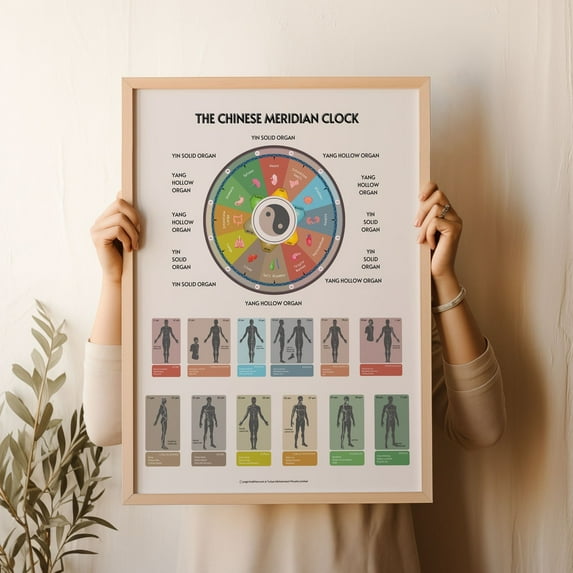 Miluva Tcm Meridian Organ Clock Poster, Chinese Medicine Gift, Chinese ...