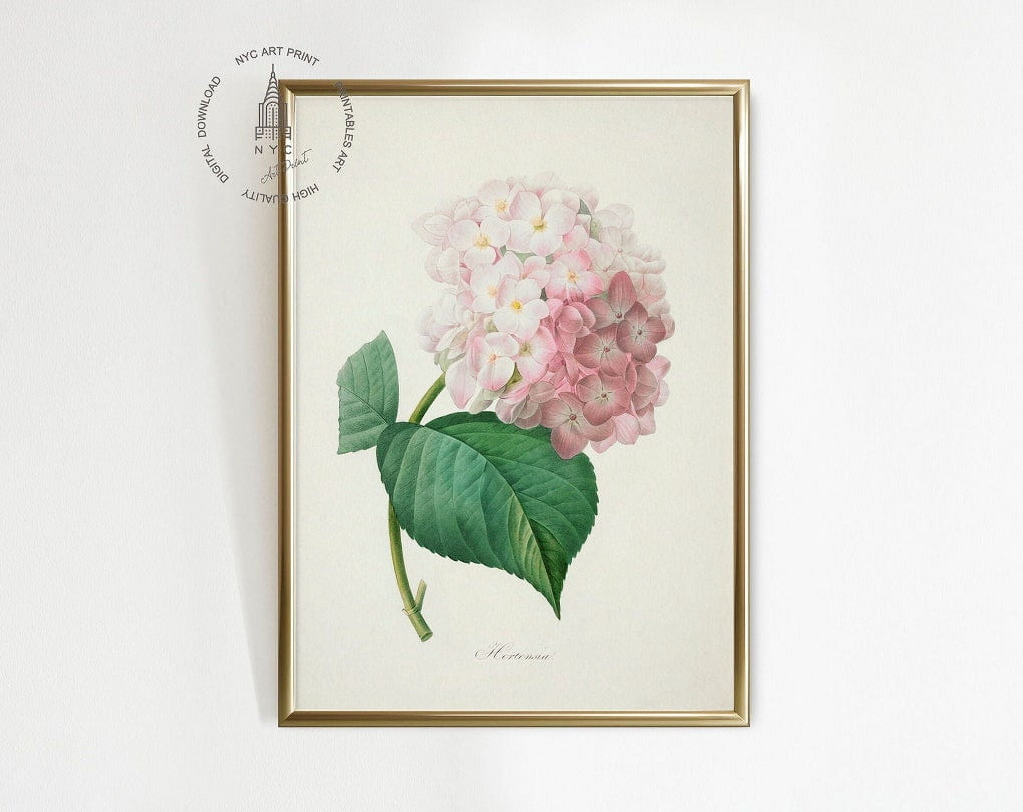 Miluva Vintage Hydrangea Print, Hydrangea , Spring Decor, Vintage ...