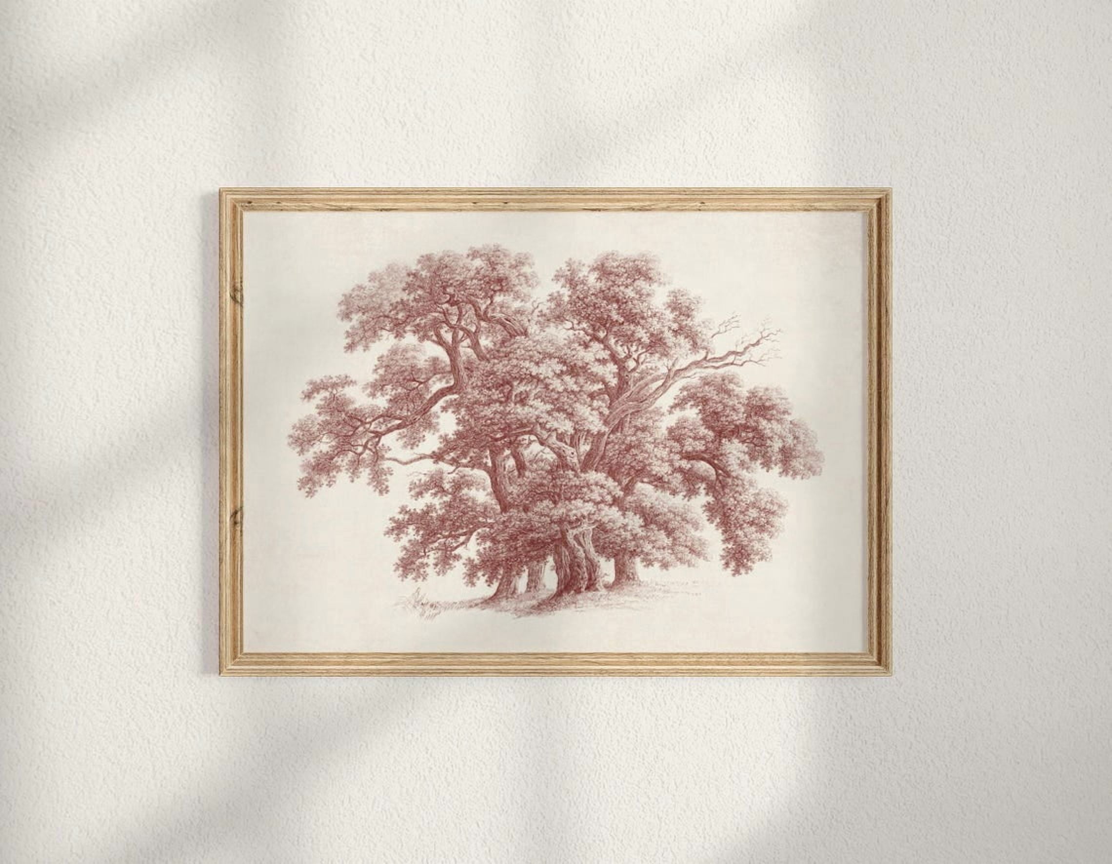 Miluva Vintage Oak Tree Drawing, French Country Wall Art Printable ...