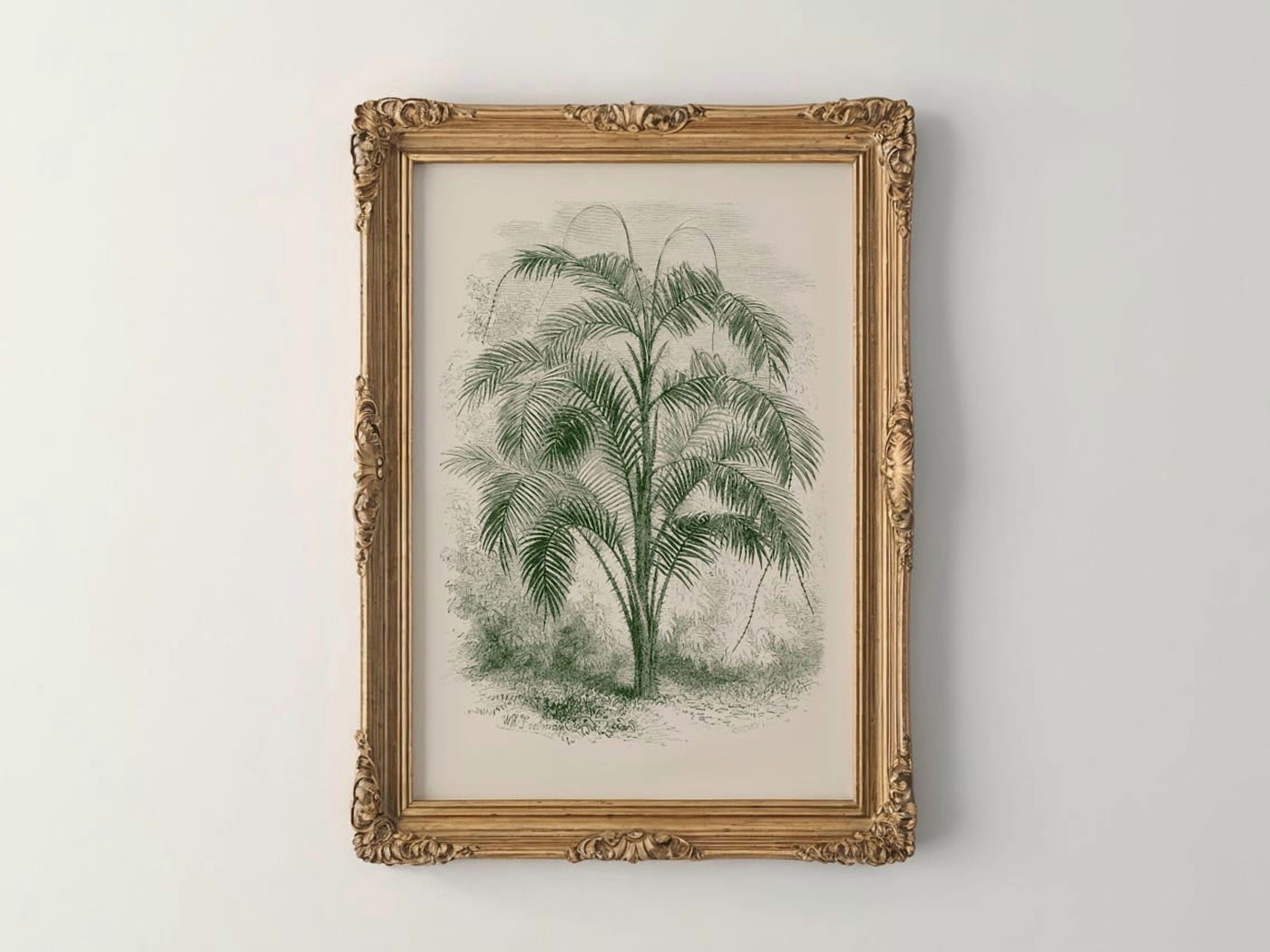 Miluva Vintage Palm Tree Drawing, Tropical Wall Art, Sage Green Decor ...