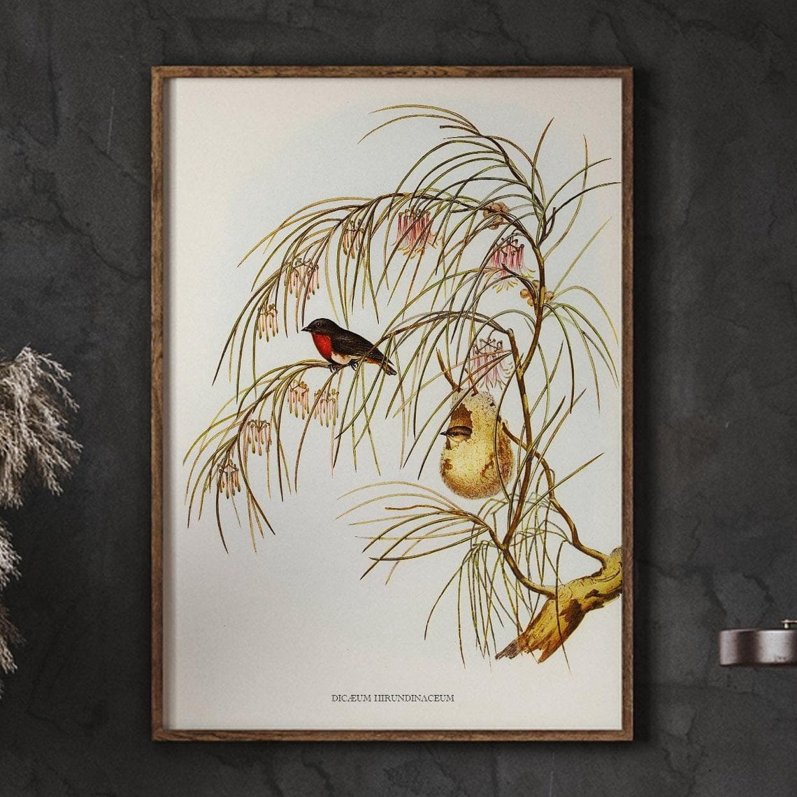 Miluva Vintage Song Bird Nursery Decor For Girls Room, Vintage Bird S ...