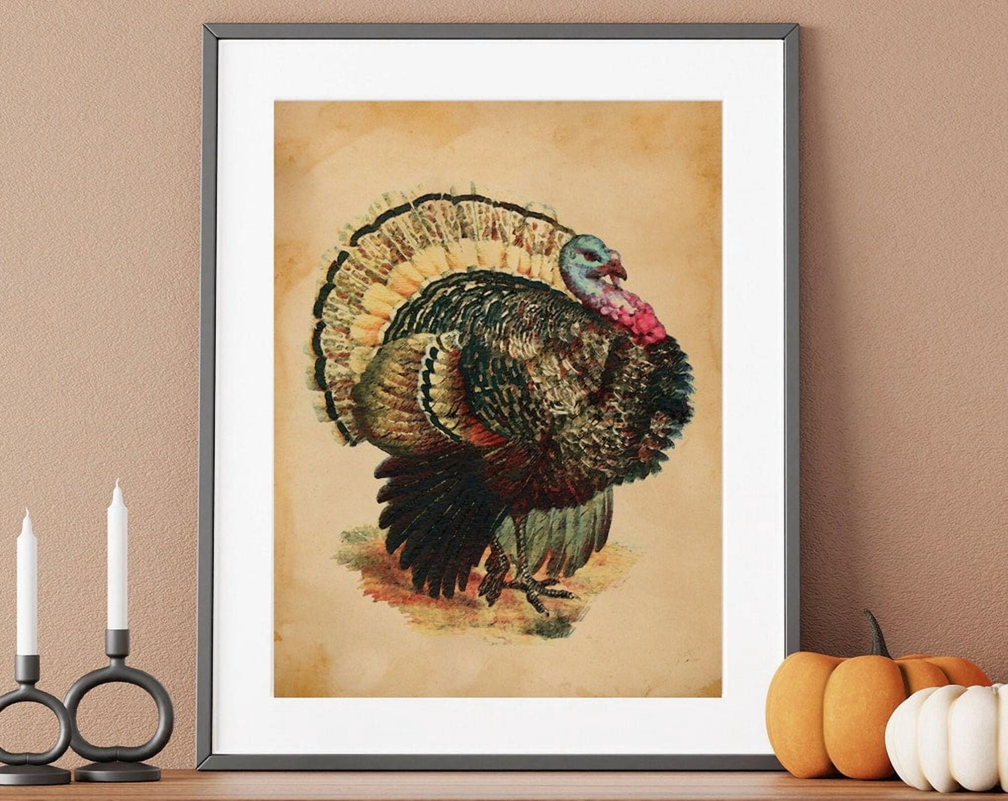 Miluva Vintage Thanksgiving Turkey Illustration Art Print, Vintage ...