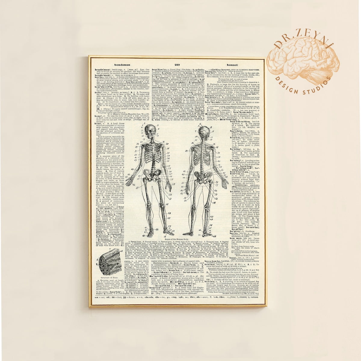 Miluva Vintage medical dictionary page and skeletal anatomy / bones ...