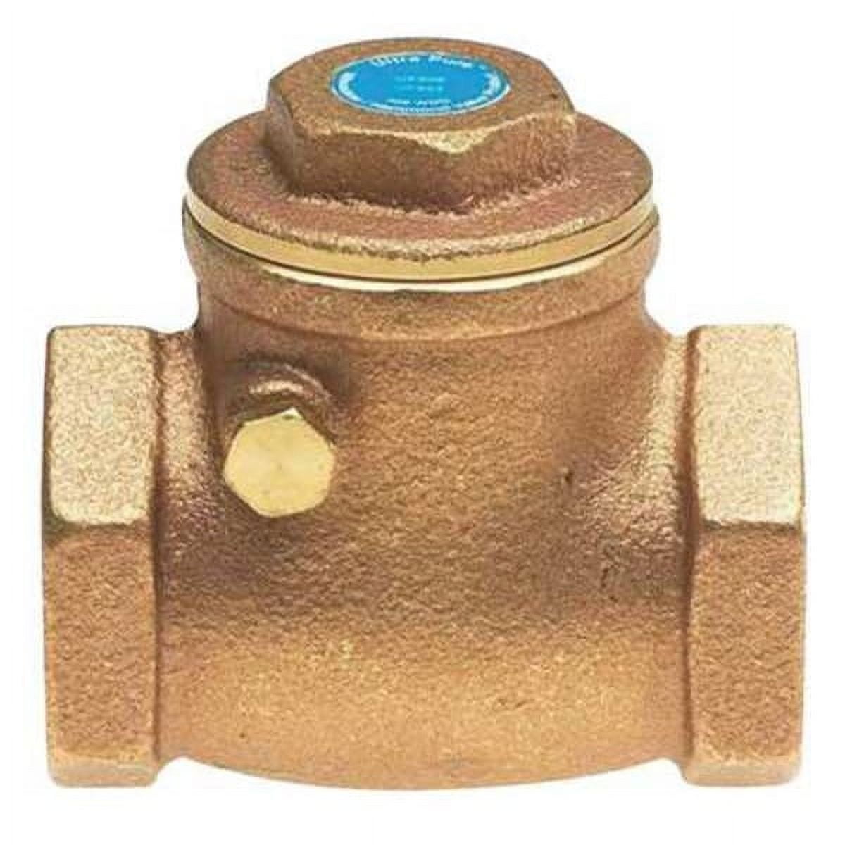 Milwaukee Valve Swing Check Valve,1" - Walmart.com