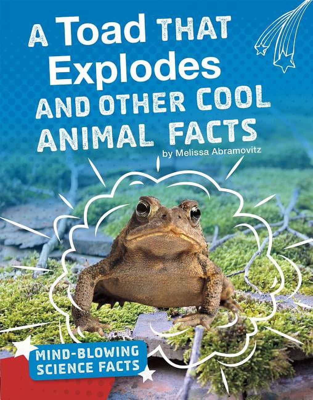 Mind-Blowing Science Facts: A Toad That Explodes and Other Cool Animal ...