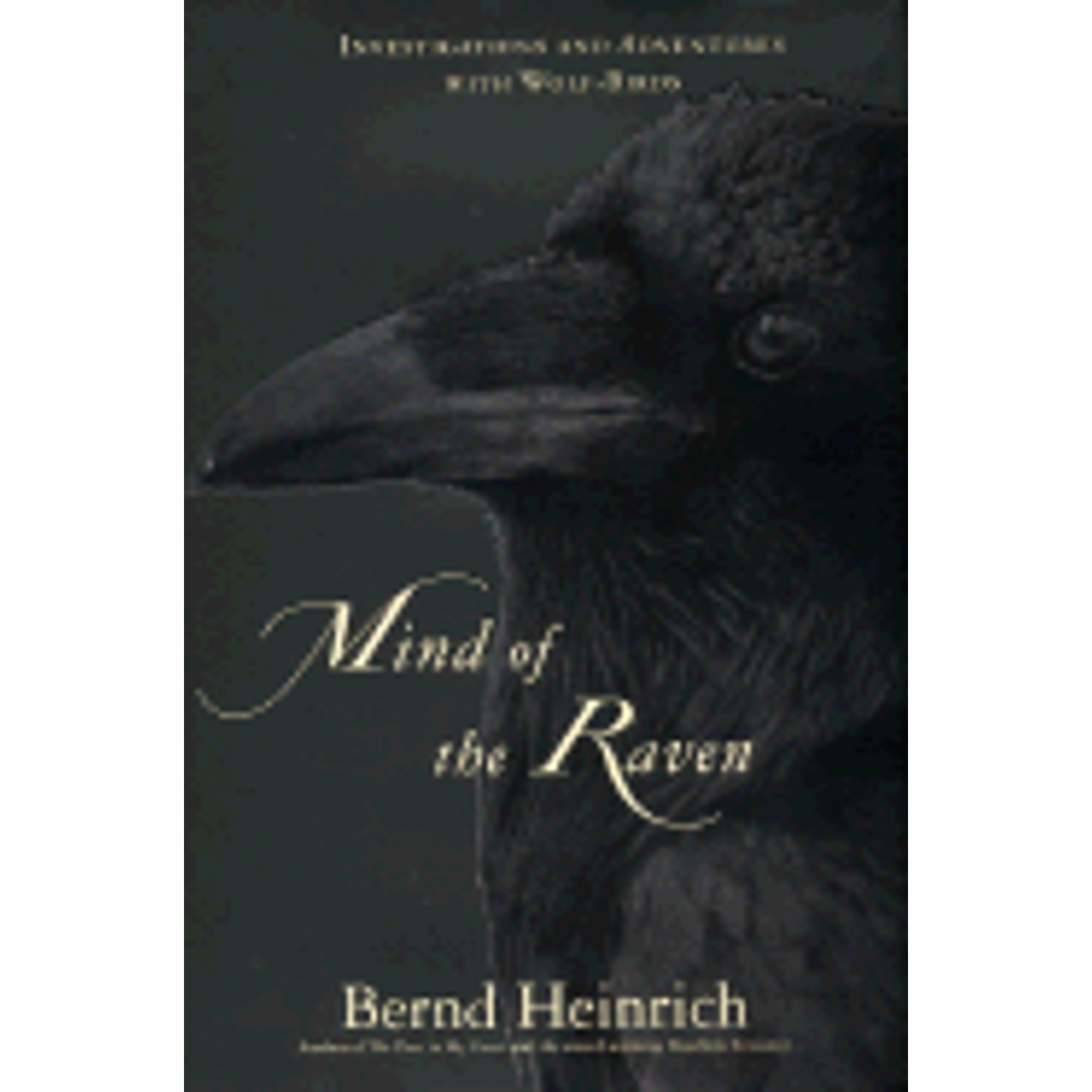 Mind of the Raven: Investigations and Adventures with Wolf-Birds ...