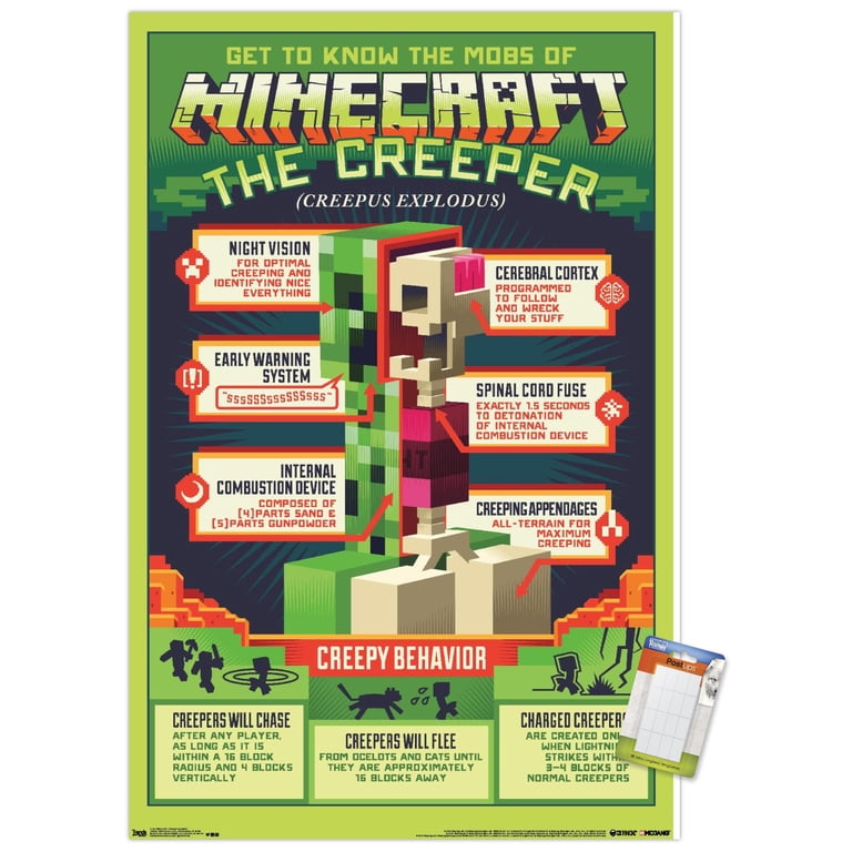 Minecraft Wallpaper Creeper Anatomie Anatomy Of A Creeper Minecraft