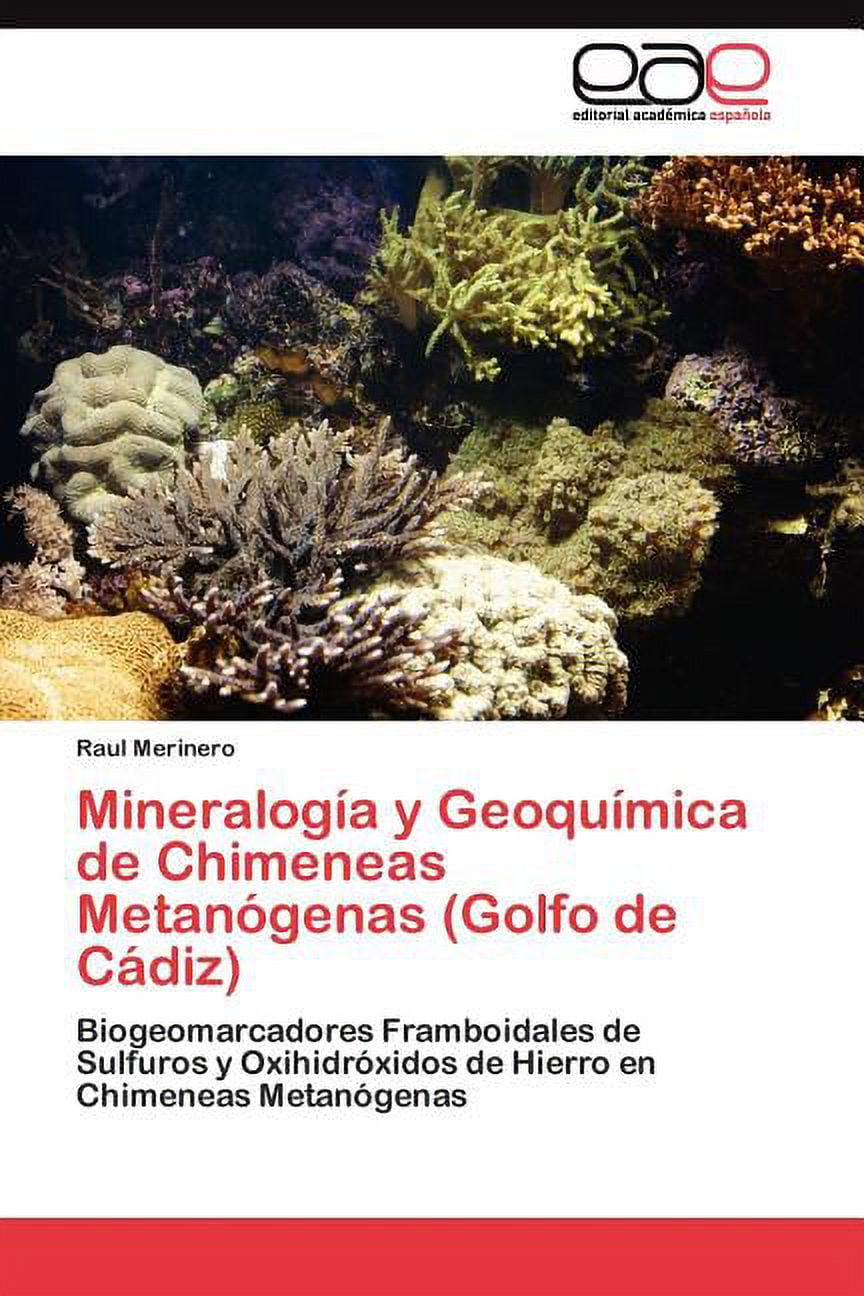 Mineralogía y Geoquímica de Chimeneas Metanógenas (Golfo de Cádiz) (Paperback) - Walmart.com