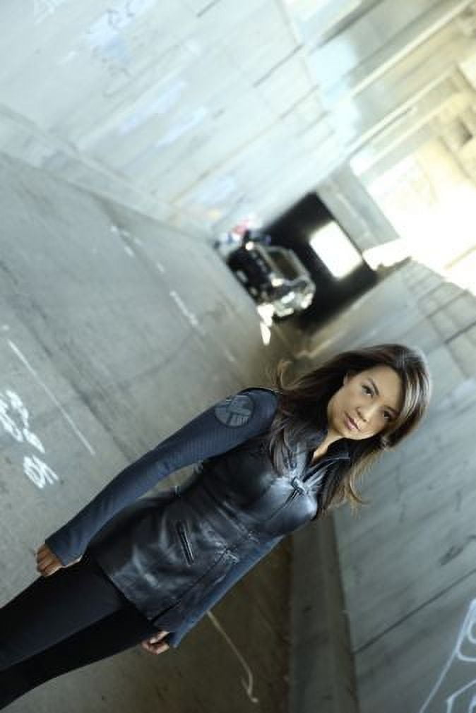 Ming Na poster Metal Sign 8inx 12in Art Print on Metal 8x12 Multi-Color ...