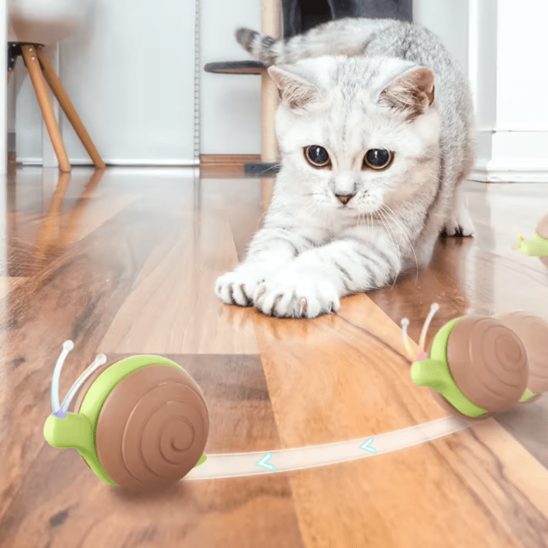MingX Automatic Snail for Cats, Wicked Snail, Smart Interactive ...