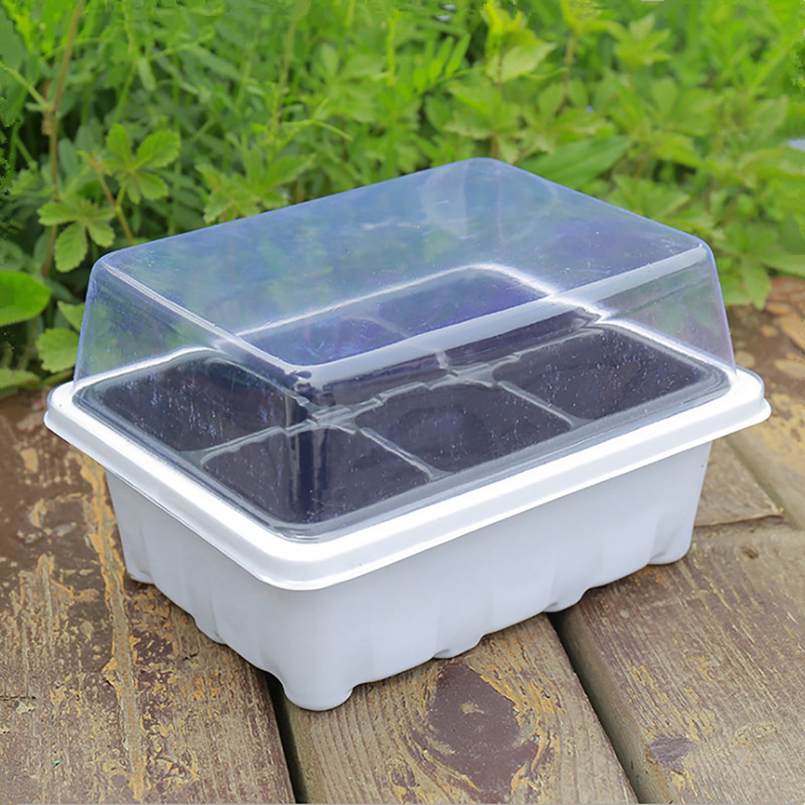 Minge Garden Bed Gardening Seedling Box Greenery Seeding Humidity ...
