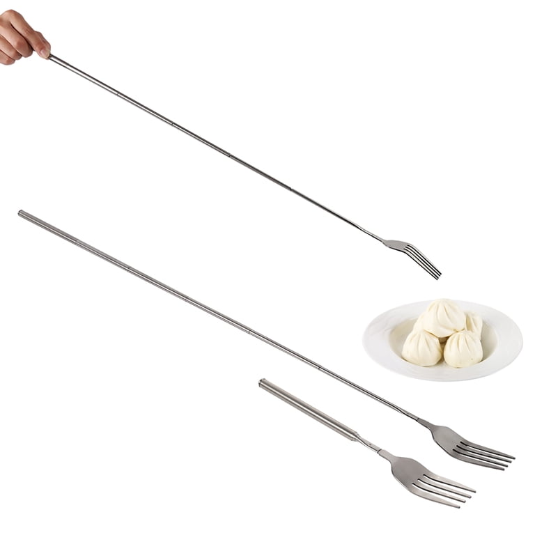 Telescopic Fork