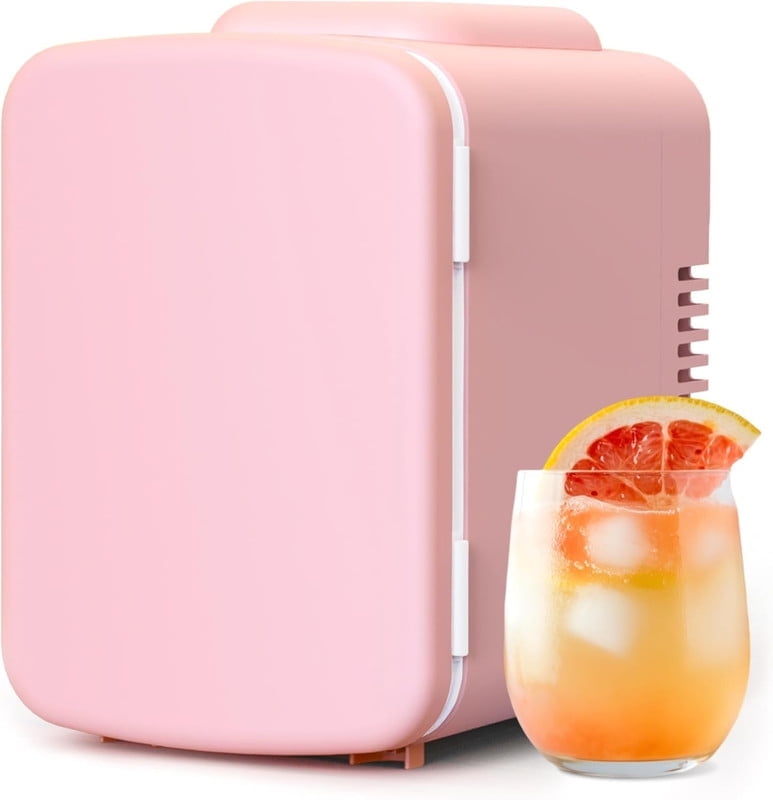 Mini 4L/6L Portable Compact Refrigerator – Small Insulated Fridge for ...