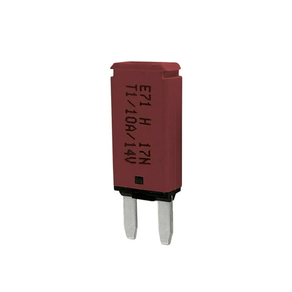 10 Amp Mini Fuse
