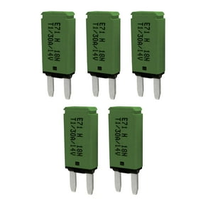 30 Amp Automotive Fuses