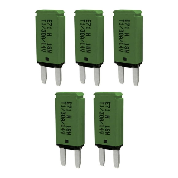30 Amp Automotive Fuses