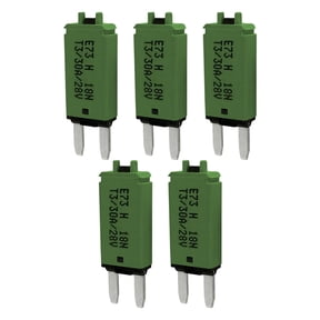 10 Amp Mini Fuse