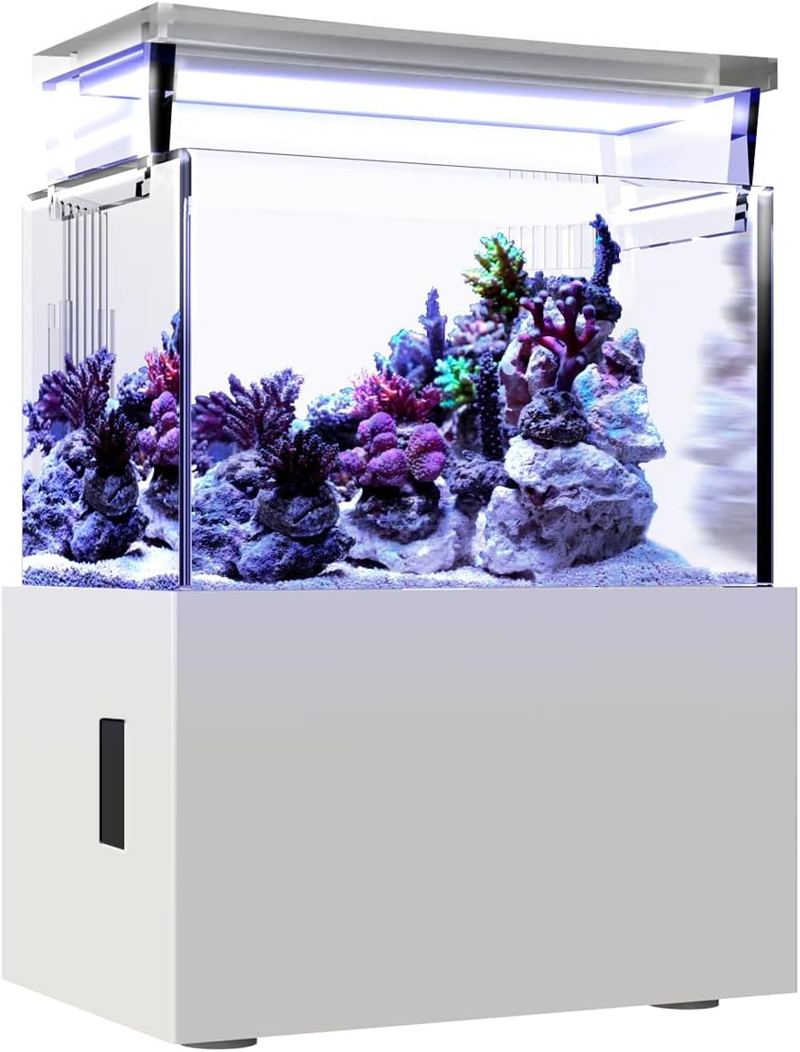 Mini Acrylic 0.95gal(3.6L) Reef Aquarium with Back Filter System and ...