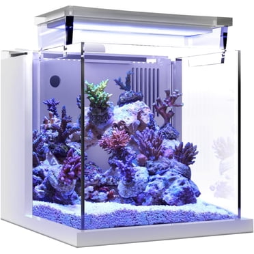 Fluval Black FLEX Aquarium Kit, 9-Gallon Capacity - Walmart.com