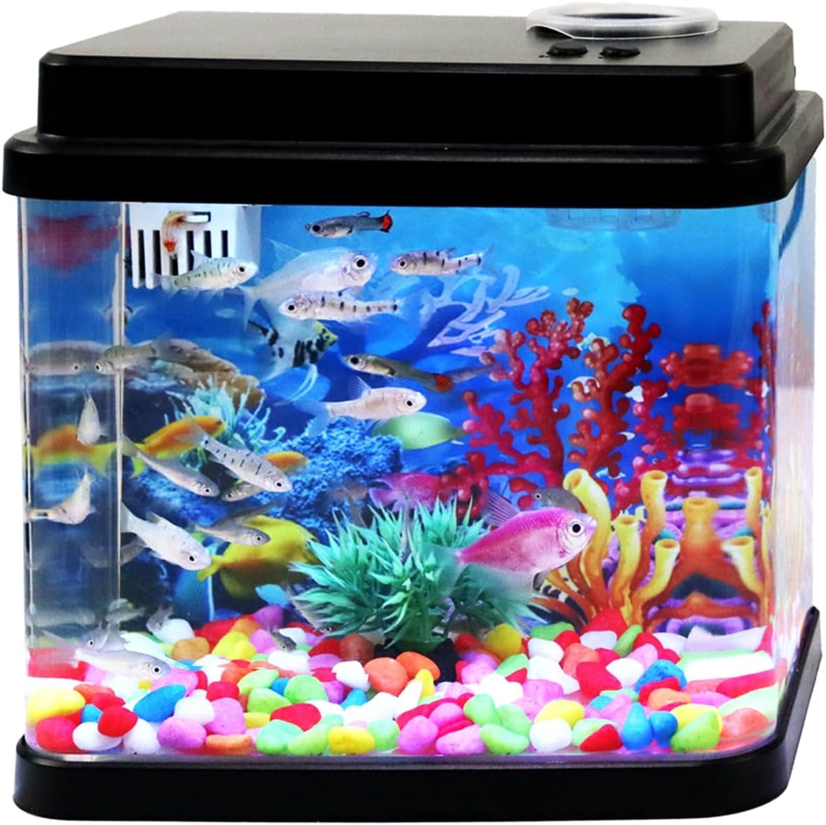 Mini Aquarium, 1 Gallon Small Fish Tank, 6-Color Adjustable LED Fish ...