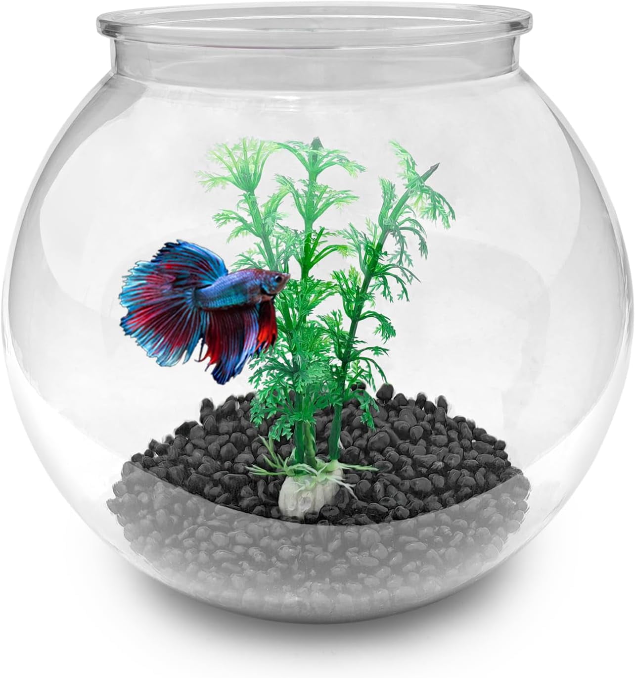 Mini Aquarium Fish Bowls (0.8Gallon / 3L) - Walmart.com