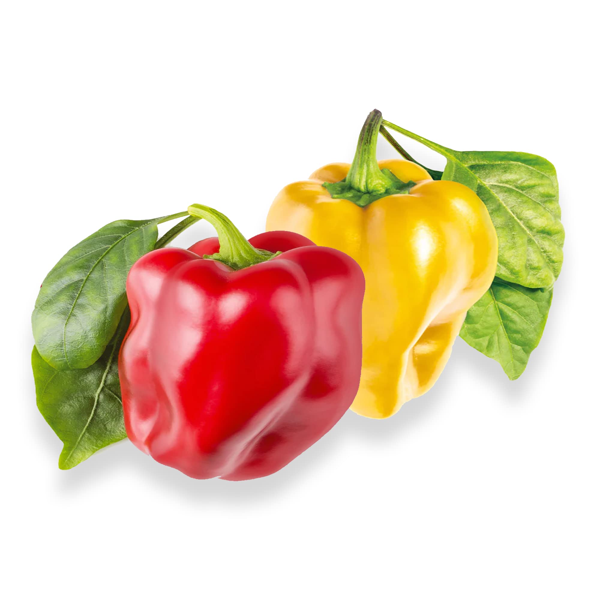 Mini Belle Pepper Mix - Complete Seed Pod Plugs with Plant Food - 10 ...