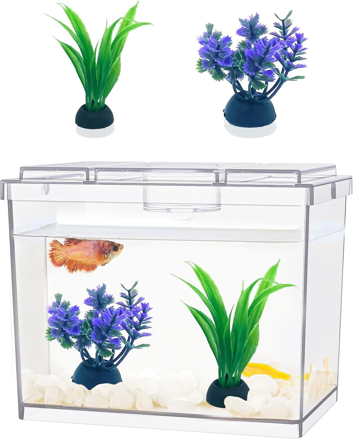 Mini Betta Fish Tank, Small Fish Bowl for Temporary Space, 0.2 Gallon ...