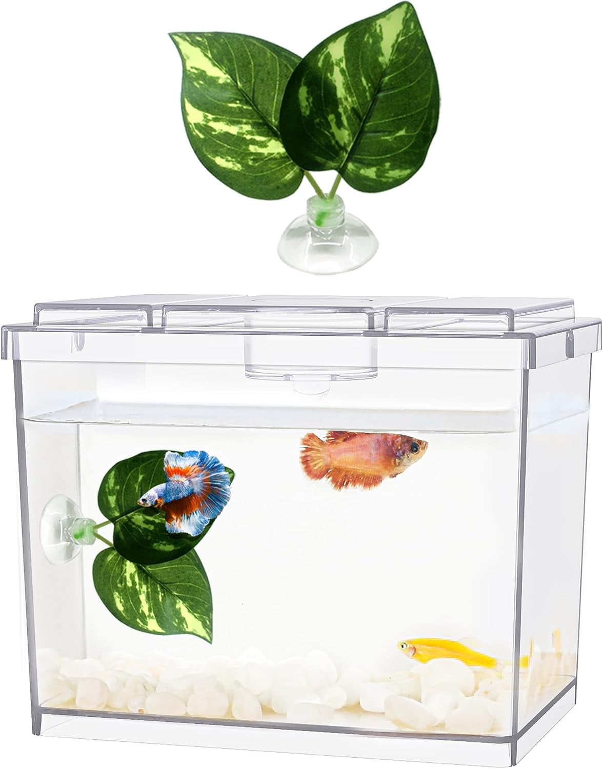 Mini Betta Fish Tank, Small Fish Bowl for Temporary Space, 0.2 Gallon ...