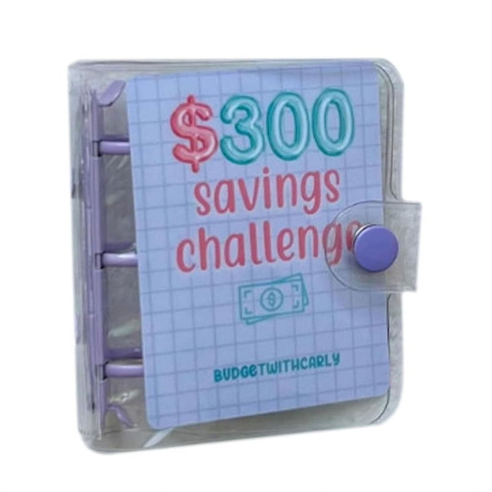 Mini Binder Savings Challenge $150/300/500/1000 Saving Money Budgets ...
