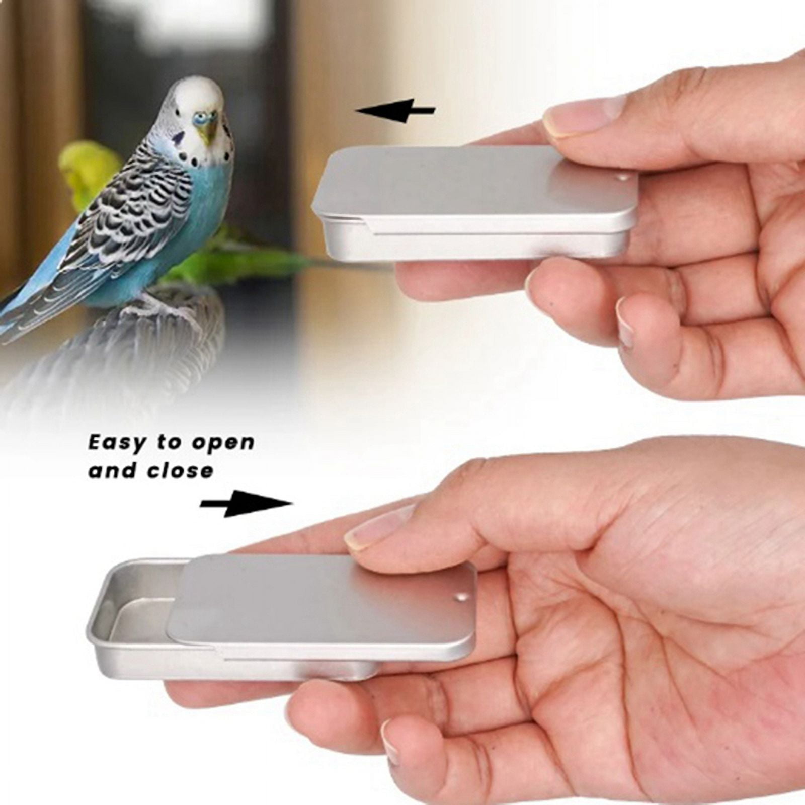 Mini Bird Training Food Box Hand-Held Parrot Feeder Feeding Box ...