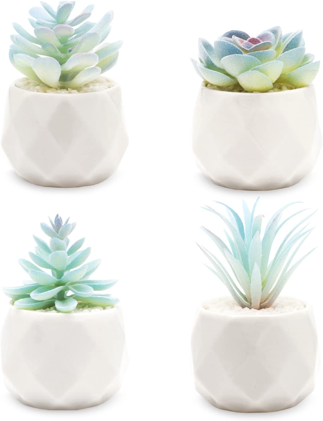 Mini Blue Artificial Succulent in Pots (White Ceramic, 4 Pot Set) Fake ...